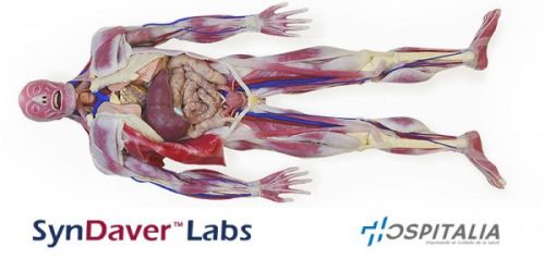 Primer SynDaver™ en Chile